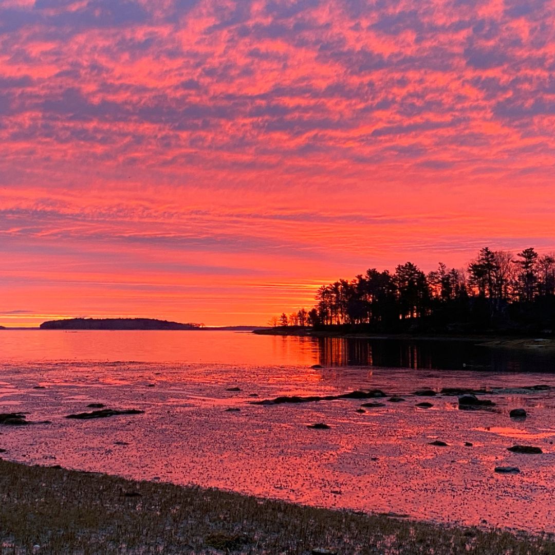 7/6/25: Summer Solstice - Maine Natural History Observatory